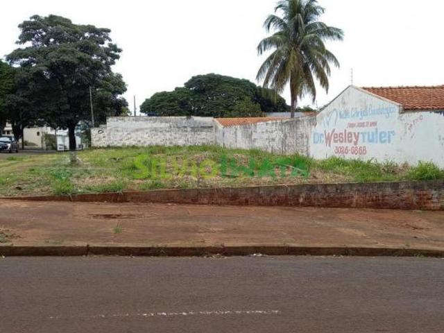 Terreno Comercial à Venda Jardim Aclimação