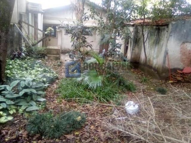 Terreno Comercial à Venda – 342 m² em Baeta Neves, São Bernardo do Campo