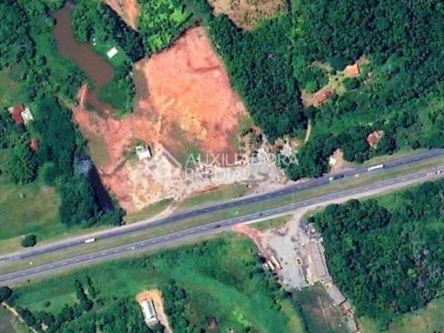 Terreno comercial / área à venda na Rodovia Régis Bittencourt