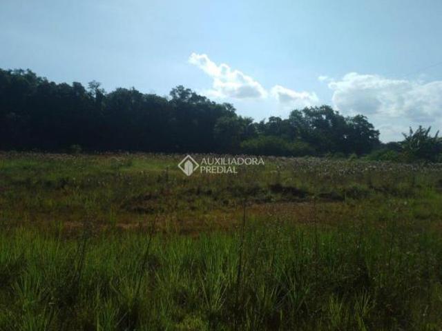 Terreno comercial / área à venda na Rodovia Régis Bittencourt BR116