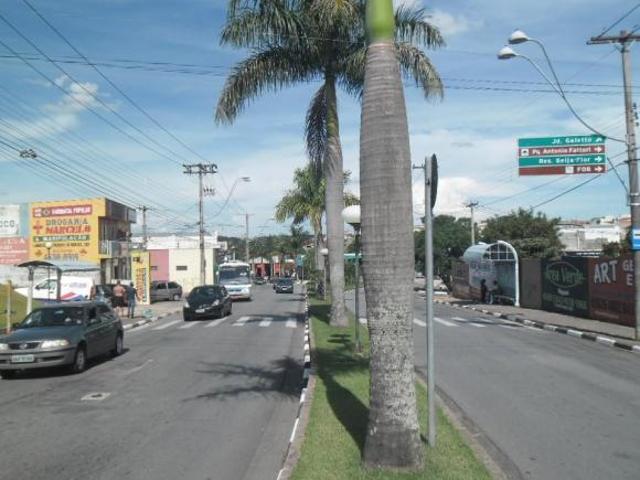 Terreno Comercial Avenida José Tescarollo