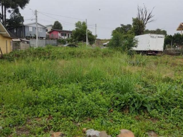 Terreno Comercial Bairro Moura