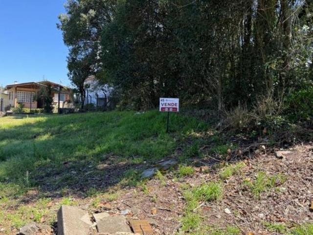Terreno Comercial Bairro Prinstrop