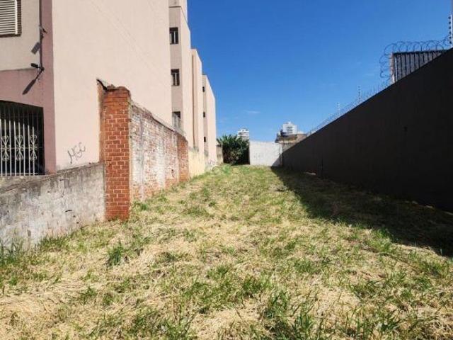 Terreno Comercial | Centro | Londrina