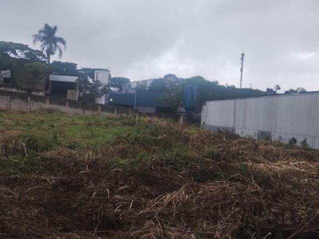 TERRENO COMERCIAL DE 6.000M2