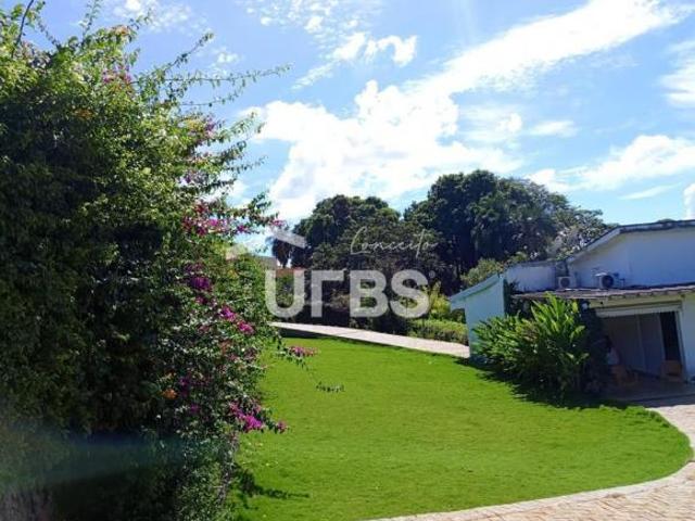 Terreno comercial dentro de Goiânia na Vila Nova, abaixo da avenida Independência