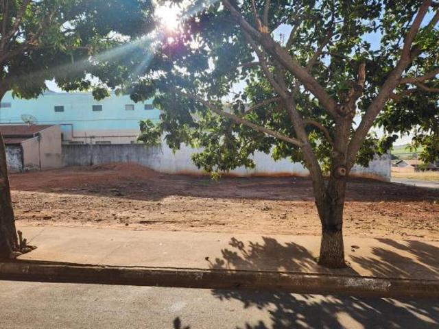 Terreno Comercial em Artur Nogueira SP