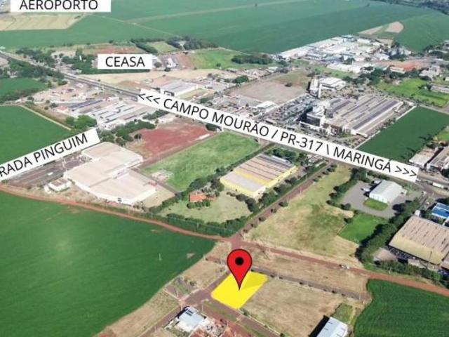 Terreno Comercial em Maringá