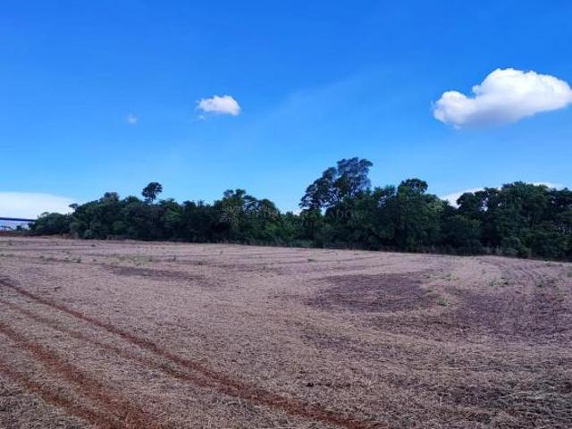 Terreno Comercial em Maringá