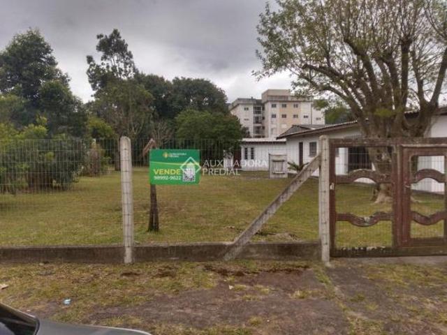 Terreno Comercial em Osório