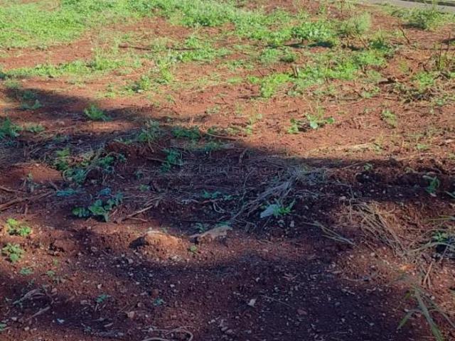 Terreno Comercial em Paiçandu