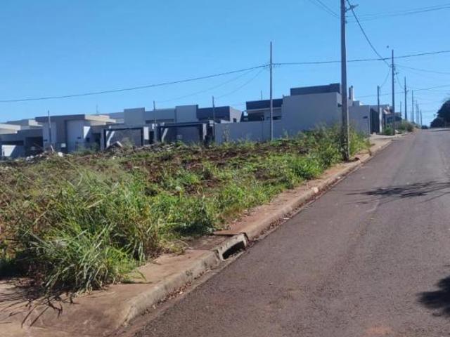 Terreno Comercial em Paiçandu