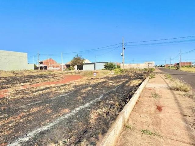 Terreno Comercial em Sarandi