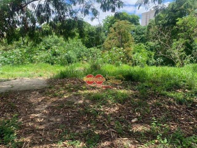 Terreno Comercial / Jardim Alto de Santa Cruz