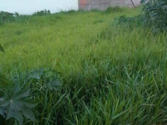 Terreno Comercial na avenida principal do Bairro