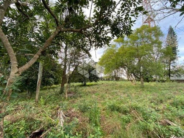 TERRENO COMERCIAL NA JOÃO ALVES!