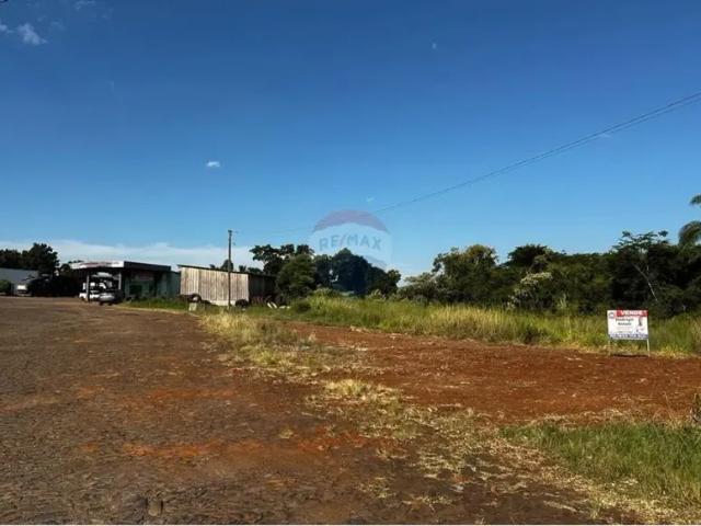 Terreno Comercial na RS 324 Linha Vista Alegre: Oportunidade Única!