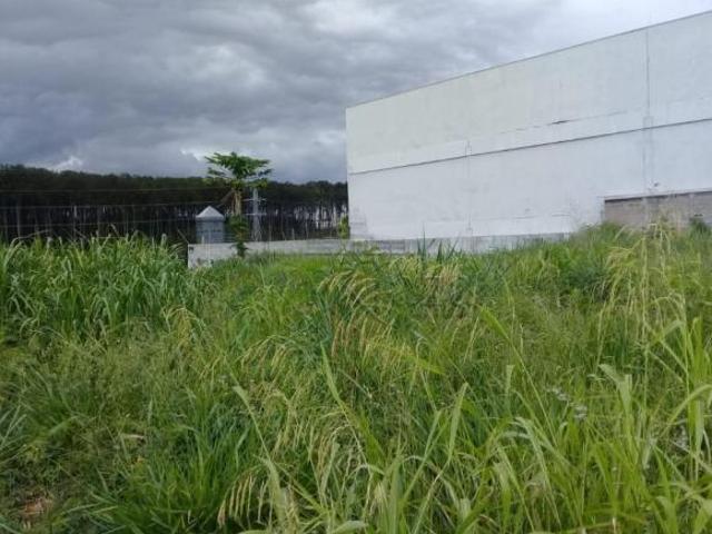 Terreno / Comercial no Bairro Chácaras Reunidas 4.546m²