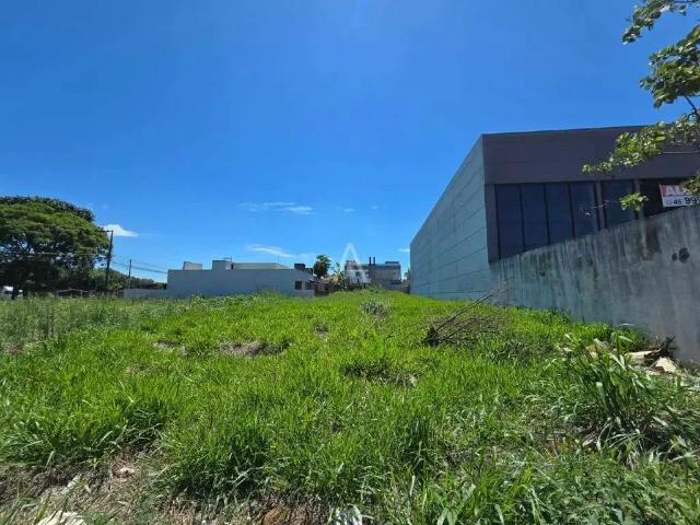 Terreno comercial para Locação em Toledo/PR Tocantins