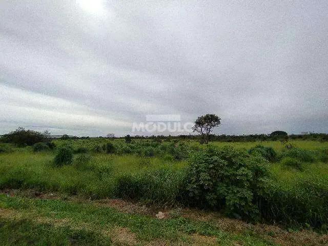 Terreno comercial para Locação em Uberlândia/MG Conjunto Alvorada