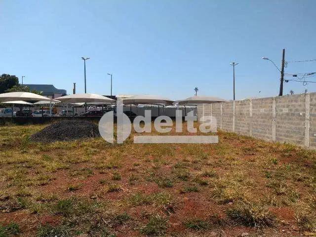 Terreno comercial para Locação em Uberlândia/MG Aclimação