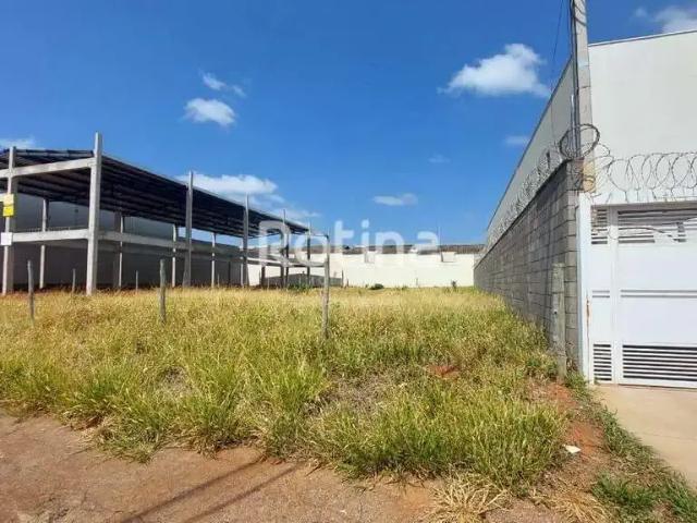 Terreno comercial para Locação em Uberlândia/MG Alto Umuarama