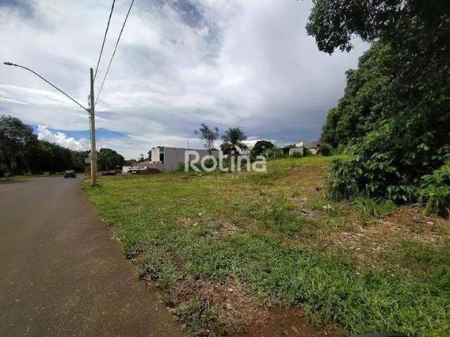 Terreno comercial para Locação em Uberlândia/MG Daniel Fonseca