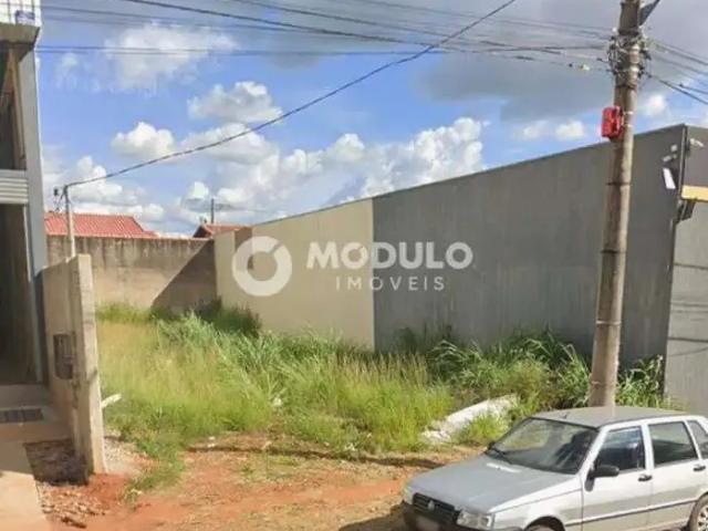 Terreno comercial para Locação em Uberlândia/MG Jardim Holanda