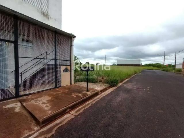 Terreno comercial para Locação em Uberlândia/MG Laranjeiras