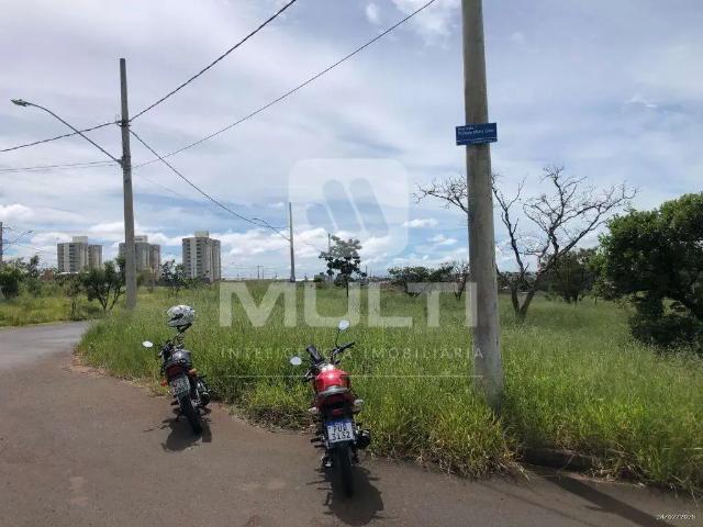 Terreno comercial para Locação em Uberlândia/MG Luizote de Freitas 1 Quartos