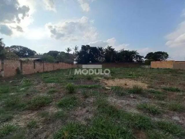Terreno comercial para Locação em Uberlândia/MG Morada Nova