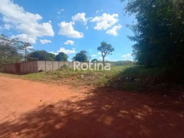 Terreno comercial para Locação em Uberlândia/MG Morada dos Pássaros