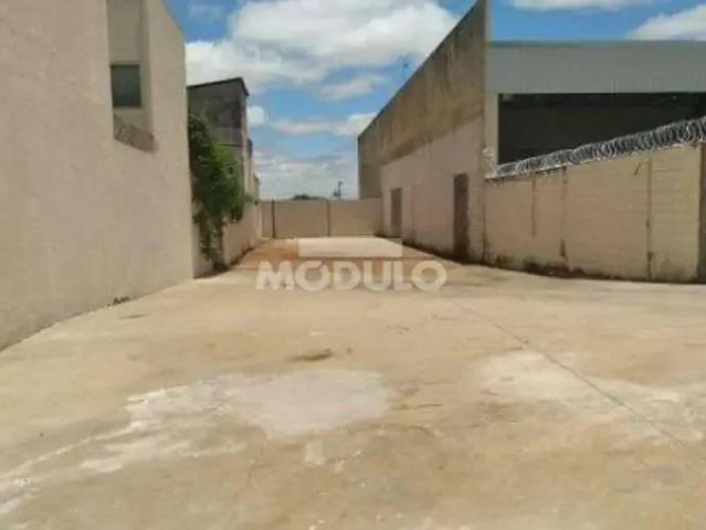 Terreno comercial para Locação em Uberlândia/MG Martins