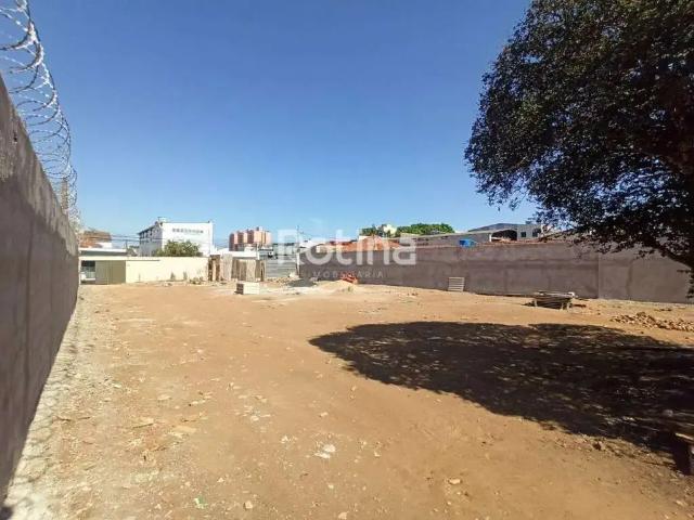 Terreno comercial para Locação em Uberlândia/MG Martins
