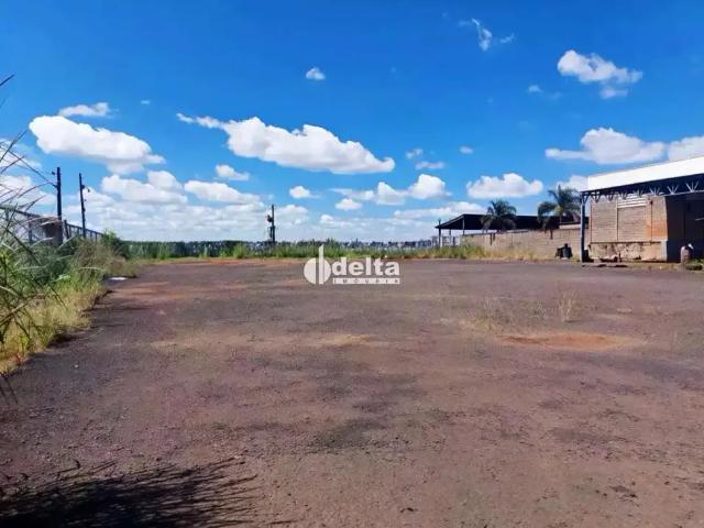 Terreno comercial para Locação em Uberlândia/MG Minas Gerais