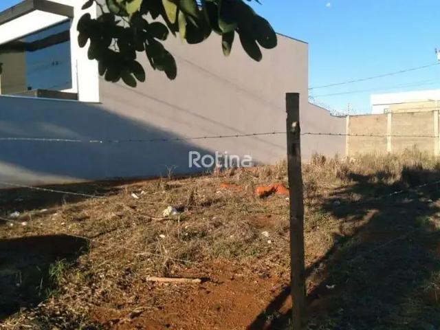 Terreno comercial para Locação em Uberlândia/MG Novo Mundo