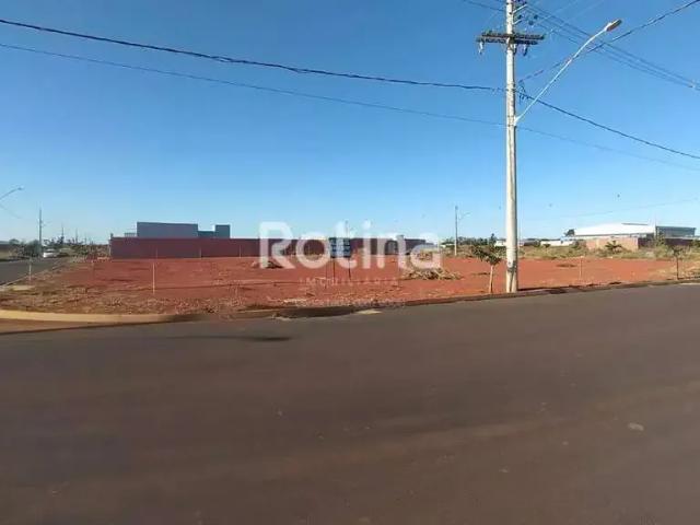 Terreno comercial para Locação em Uberlândia/MG Novo Mundo