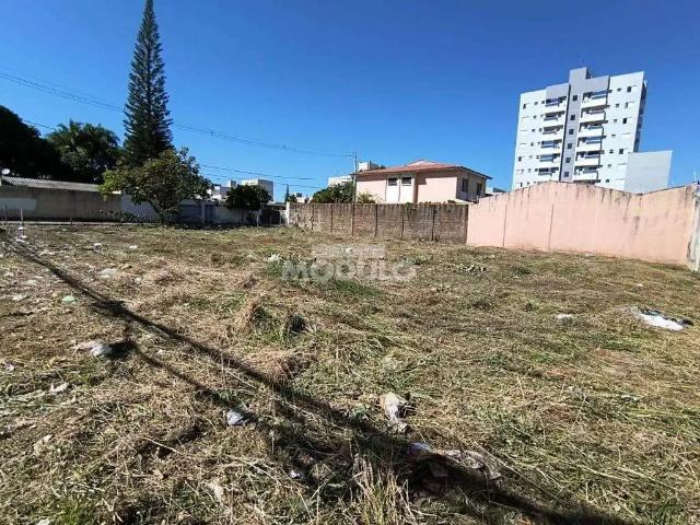 Terreno comercial para Locação em Uberlândia/MG Santa Mônica