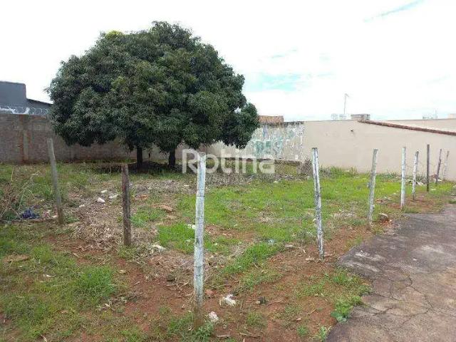 Terreno comercial para Locação em Uberlândia/MG Pampulha