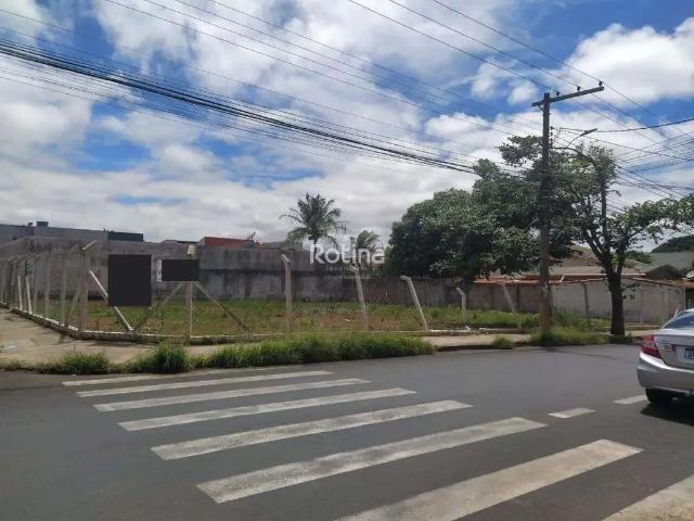 Terreno comercial para Locação em Uberlândia/MG Umuarama