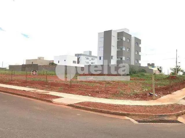 Terreno comercial para Locação em Uberlândia/MG Vida Nova