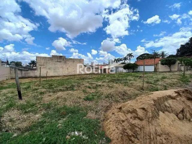 Terreno comercial para Locação em Uberlândia/MG Vigilato Pereira