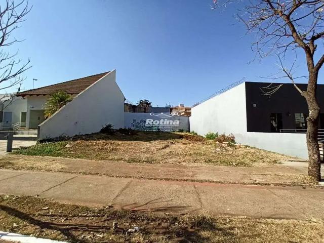 Terreno comercial para Locação em Uberlândia/MG Vigilato Pereira