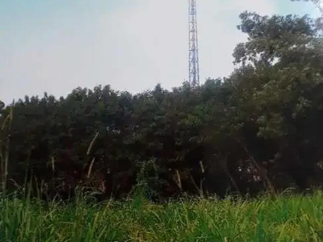 Terreno comercial para Locação em Valinhos/SP Ortizes