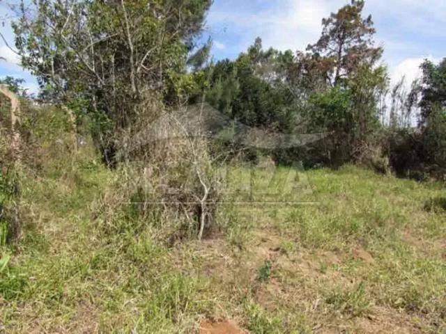 Terreno comercial para Locação em Viamão/RS Águas Claras