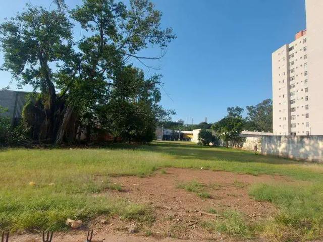 Terreno comercial para Locação em Americana/SP Jardim Santana