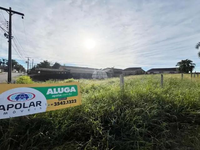 Terreno comercial para Locação em Araucária/PR Thomaz Coelho