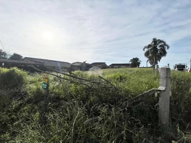Terreno comercial para Locação em Araucária/PR Thomaz Coelho