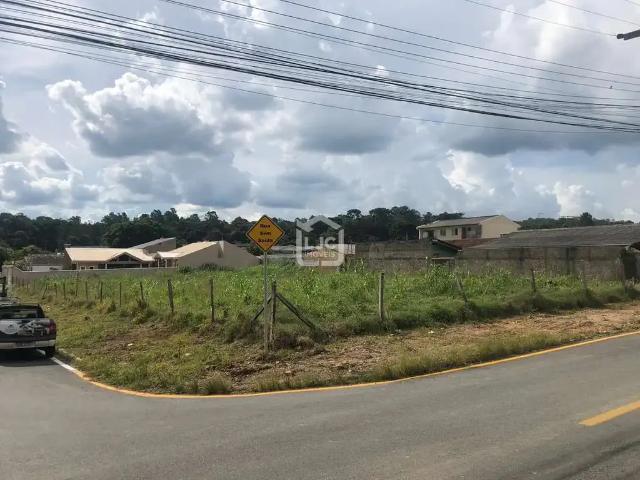 Terreno comercial para Locação em Araucária/PR Centro