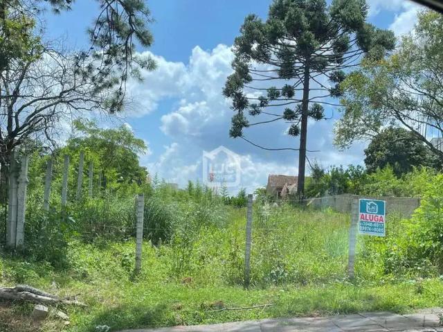 Terreno comercial para Locação em Araucária/PR Centro